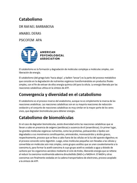 Catabolismo Pdf Dieta Y Nutrición Química