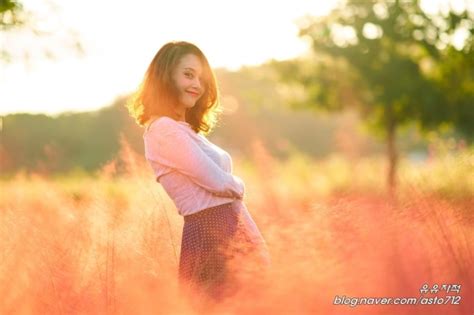 서울근교 핑크뮬리 명소 여주 당남리섬 나들이핑크뮬리만개 주차장 무료 네이버 블로그