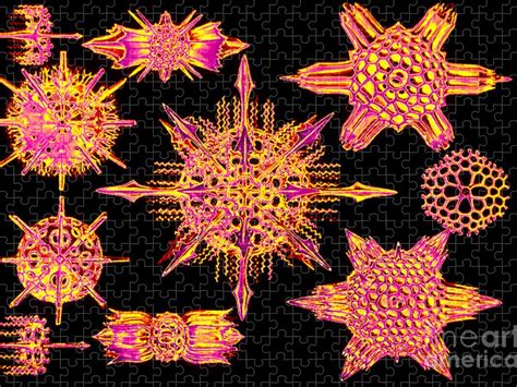 Radiolarians Design