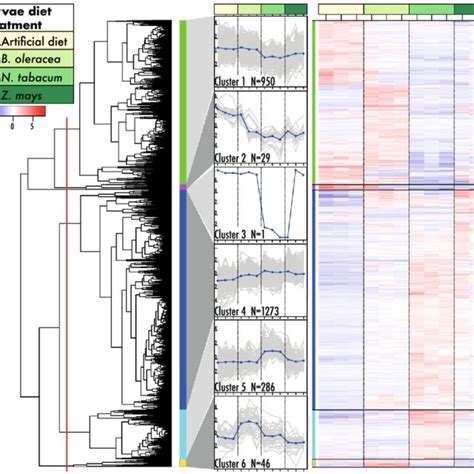 Hierarchical Cluster Dendrogram Using Multiscale Bootstrap Resampling