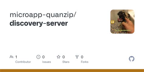 Github Microapp Quanzipdiscovery Server