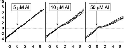 Root Elongation Calculated Through Image Analysis The Root Download Scientific Diagram