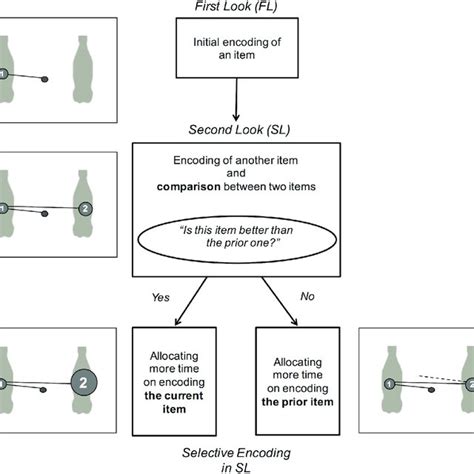 A Schematic Representation Of Selective Encoding In The 2afc Paradigm