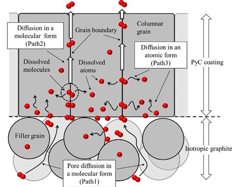 Model Of Hydrogen Behavior In Pyc Coated Isotropic Graphite Download
