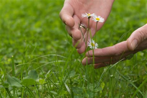 Чисто Програмата за опазване на околната среда очаква вашето мнение