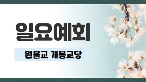 그 어리석음을 없게 하는 것으로써 Youtube