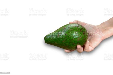 흰색 배경에 고립 된 신선한 녹색 아보카도 과일을 들고 여자의 손 거친에 대한 스톡 사진 및 기타 이미지 거친 건강한 생활방식 건강한 식생활 Istock