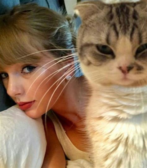 Taylor Swift Adopted Her New Cat Named Benjamin Button Right Off The Set Of Her Me Video