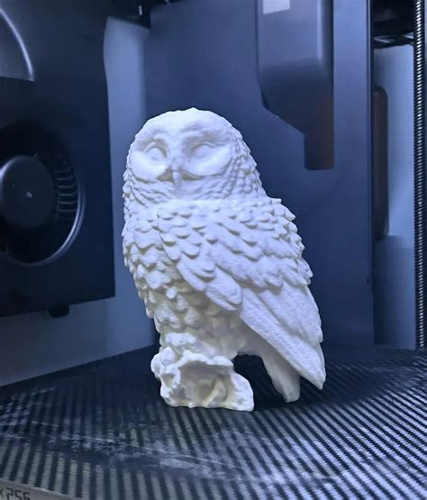 海德薇 哈利波特 猫头鹰 波特哈利 来自 Fandh Makerworld