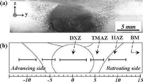 A The Cross Sectional Macrostructure Of Case 1 Typical Fsp And B Download Scientific