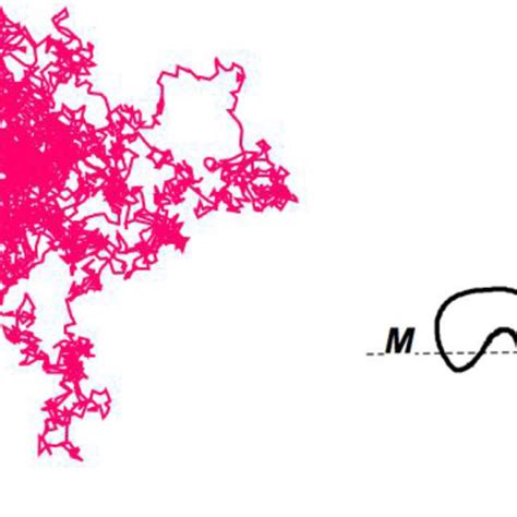 Left A Brownian Loop In The Plane With Two Marked Points The Picture
