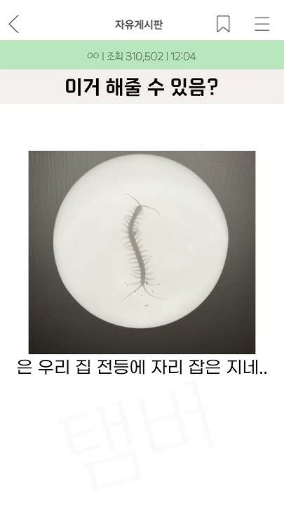 마트 갔다가 움찔 했다 Youtube