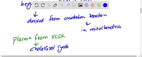 Solved Synthesis Of Isopentenyl Pyrophosphate If [2 14 C] Acetyl Coa Is Added To A Rat Liver