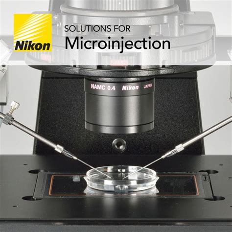 Nikon Instruments On Linkedin Microinjection Is Important For Various Clinical And Research…