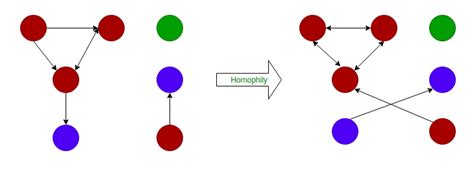 Selection And Social Influence Homophily In Social Networks Geeksforgeeks