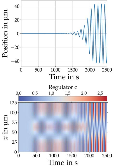 Regular Oscillations Of The Droplets Position Over Time Top Are Download Scientific Diagram