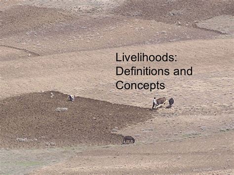 ALTERNATIVE LIVELIHOODS IN AFGANISTAN What Role Can Rural Credit Play