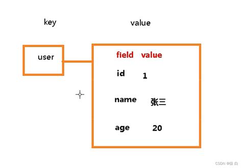 3、常用五大数据类型 Csdn博客