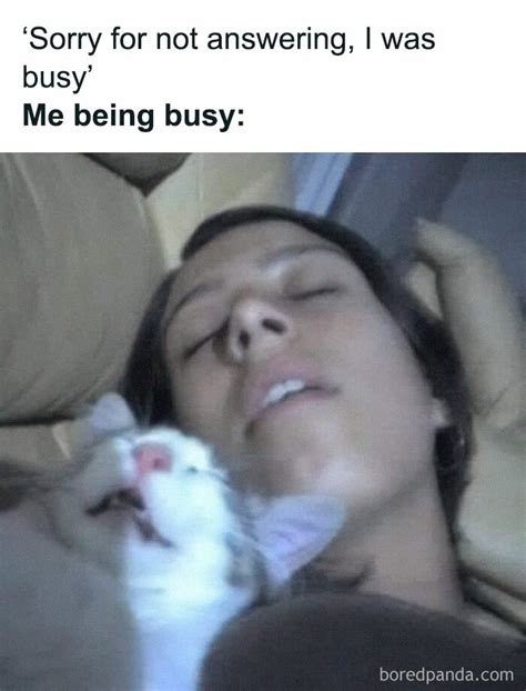 50 Absolutely Spot On Introvert Memes To Make You Snicker Bored Panda