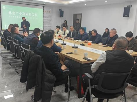 加强企业交流推动广西林业产业高质量发展 活动报道 广西林业产业行业协会