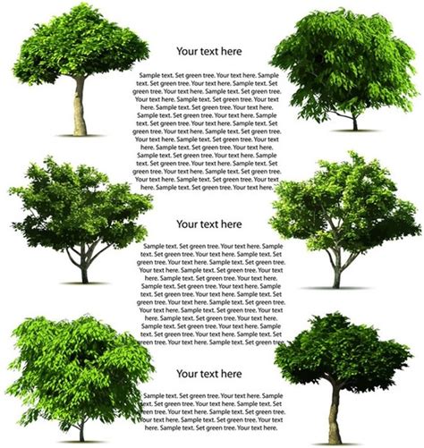 Trees Background Various Green Types Realistic Design Style Free Vector In Encapsulated