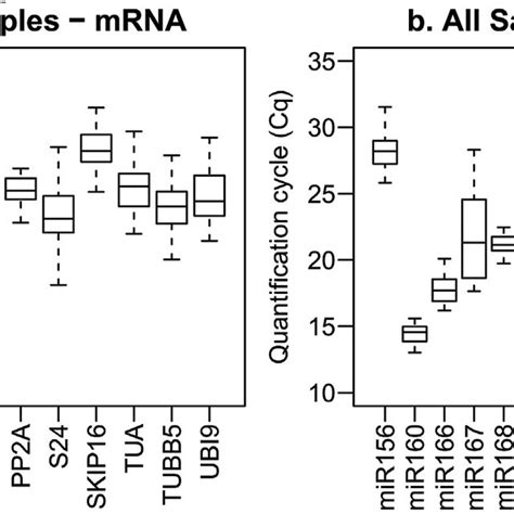 quantification cycle cq values of castor bean candidate reference