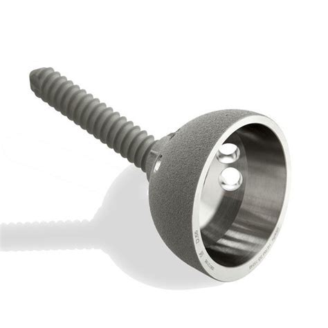 Revision Acetabular Prosthesis Sansone Citieffe Cementless