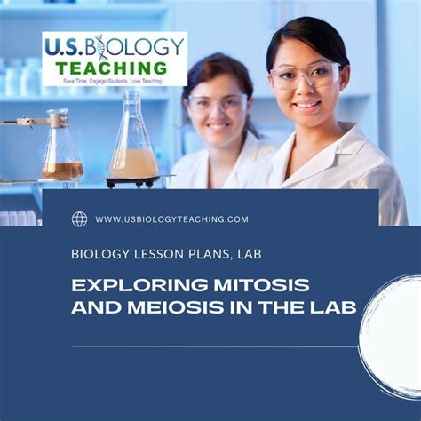 EXPLORING MITOSIS AND MEIOSIS IN THE LAB Mitosis And Meiosiswhats