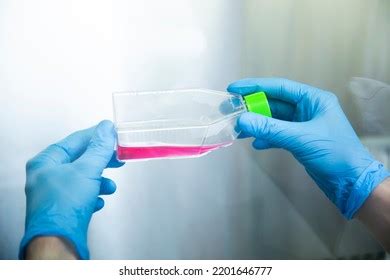 Lab Culture Images Stock Photos Vectors Shutterstock
