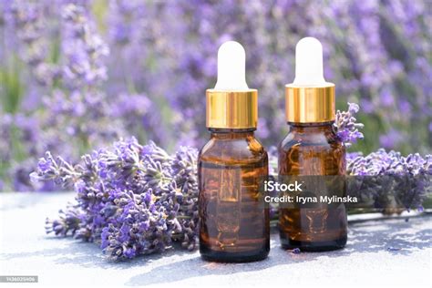 라벤더 화장품 오일 또는 얼굴 세럼을 배경으로 라벤더 꽃밭에 대한 두 개의 스포이드 병 허브 화장품과 현대 약국 개념 라벤더 미용 제품 0명에 대한 스톡 사진 및 기타