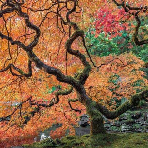 Stream Wake Up By Tree Tone Listen Online For Free On Soundcloud