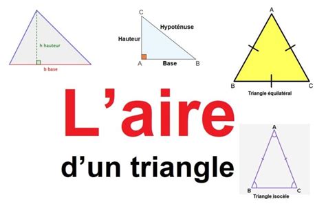 Comment Calculer Laire Dun Triangle Prof Innovant
