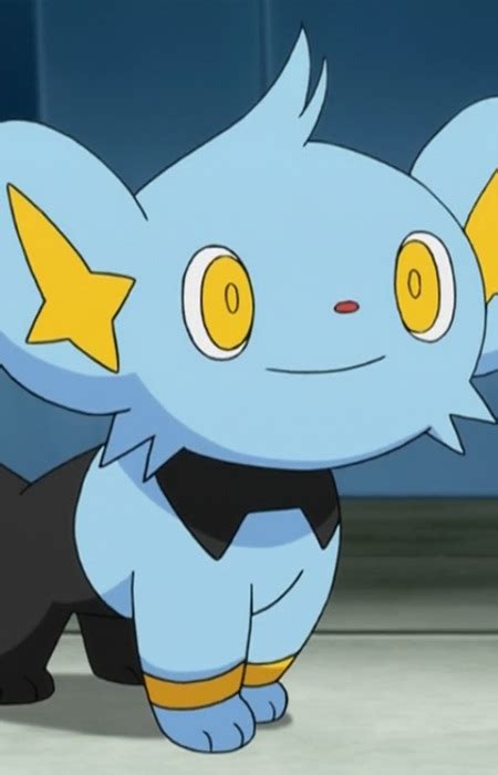 Kolink Pokemon Diamond And Pearl