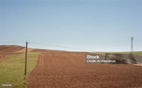 경사면에 심기 전에 토양의 행 이란의 여름에 작물을 심기 위해 준비된 쟁기밭의 고랑 모양 고랑 농업에 대한 스톡 사진 및 기타 이미지 Istock