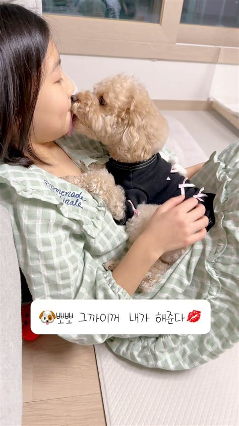 두리방울 룰루 개새남매 초딩누나 지키는 강아지🐶 엄마가 누나 잡으러 간다고하니 달려가 지켜주고 맴매하니 손을 잘근잘근씹었으면서 누나가 엄마때릴땐 꼬리흔들며 나가버리는 너