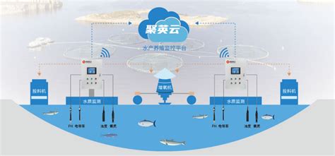 人工智能在水产养殖方面的应用与未来发展 知乎