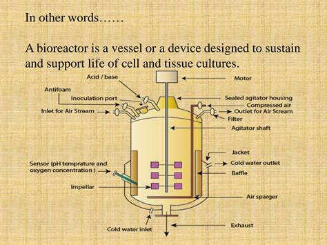 Solution Bioreactor And Its Types Studypool