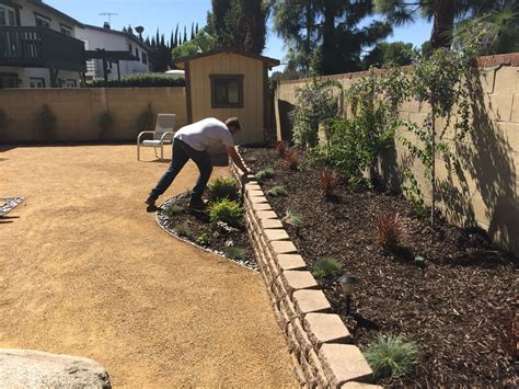 The Best Types Of Tall Ornamental Grasses For Modern Landscapes