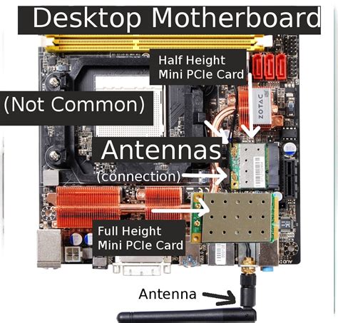 Mini Pcie Slot Graphics Card At Fred Morales Blog