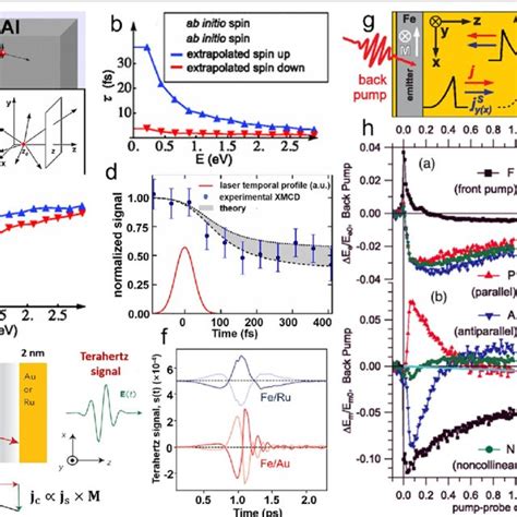 A Schematic Of The Laser Excited Superdiffusive Processes B Lifetimes