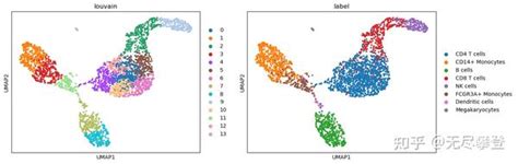 动手学单细胞分析 提升 4 1 降维之变分自编码 知乎