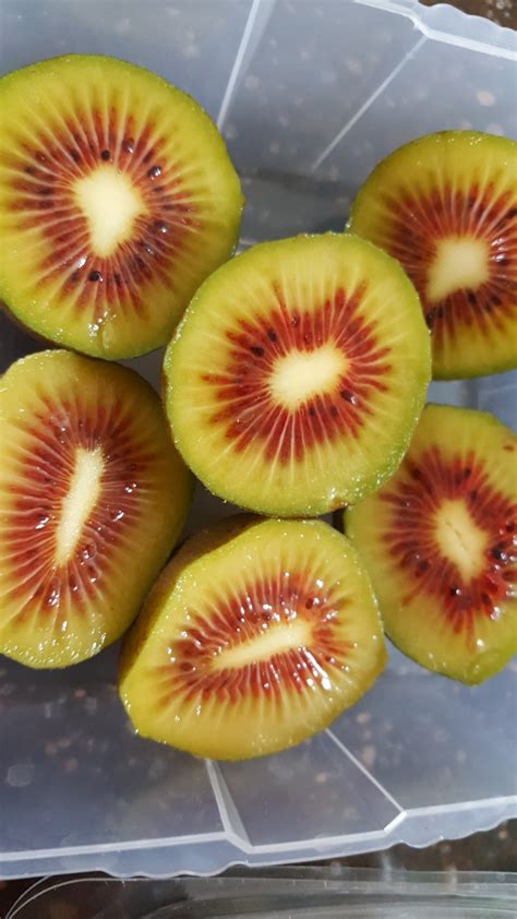 제주도 레드키위 새콤달콤~ 네이버 블로그