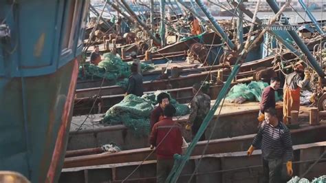 黄渤海海域进入伏季休渔期 凤凰网视频 凤凰网