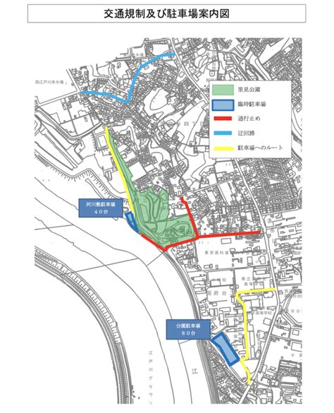 里見公園の桜市川で最も有名な桜スポットでのお花見は最高です
