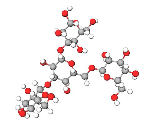 Schizophyllan Sizofiran Cosmetic Ingredients Guide