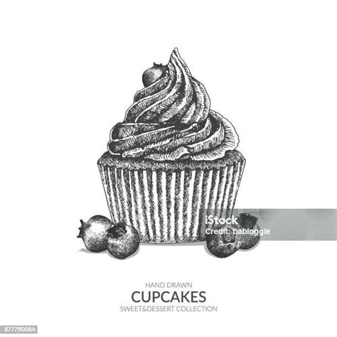 맛 있는 블루베리 컵 케 익입니다 격리 된 달콤한 과자 과일 장식 생일이 나 아이스크림 먹고입니다 빈티지 핸드 그린 흑백 그림 단 것과 디저트 컬렉션 건강한 생활방식에 대한