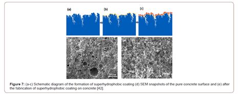 The Role Of Synthetic Superhydrophobic Surfaces In Construction