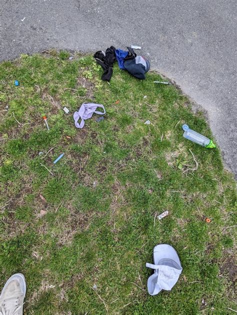 Jungle Growing In The Gutters On Sandringham R Auckland