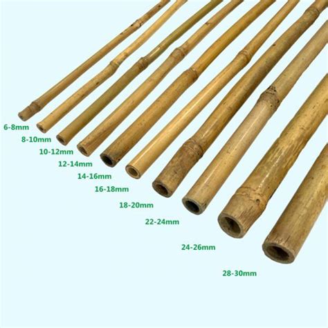Bamboo Canes Nationwide Tree Sales