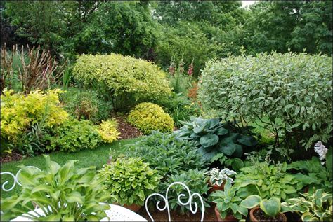 Цветни комбинации с листата на растенията Page 8 Форум